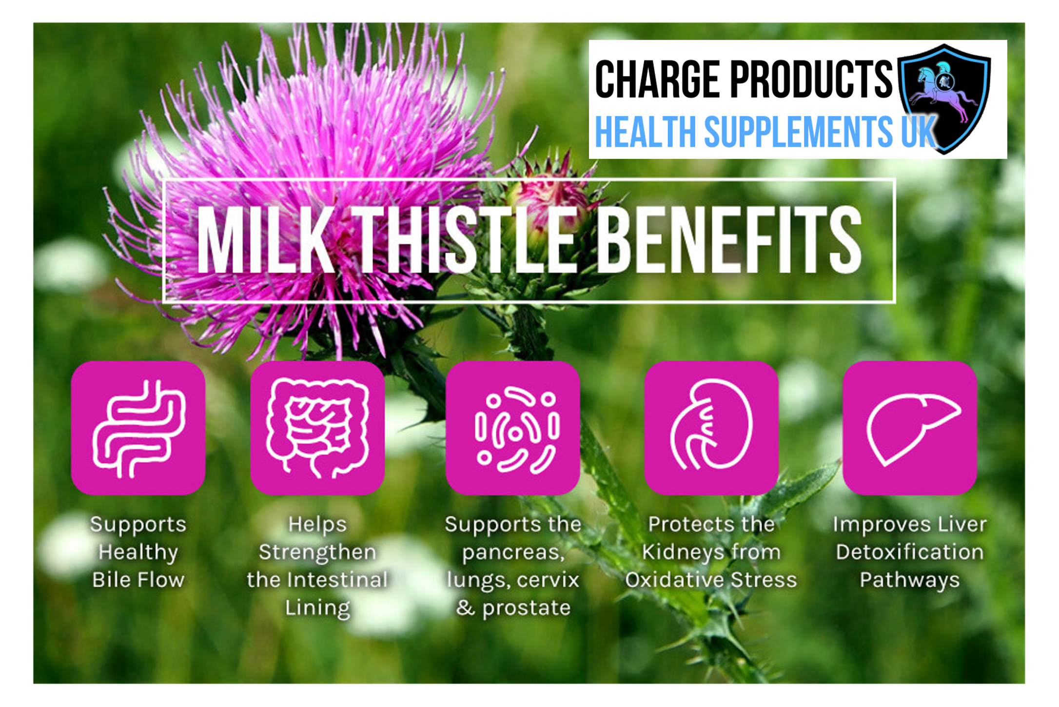 10 Health benefits for Milk Thistle Tablets – Charge Products